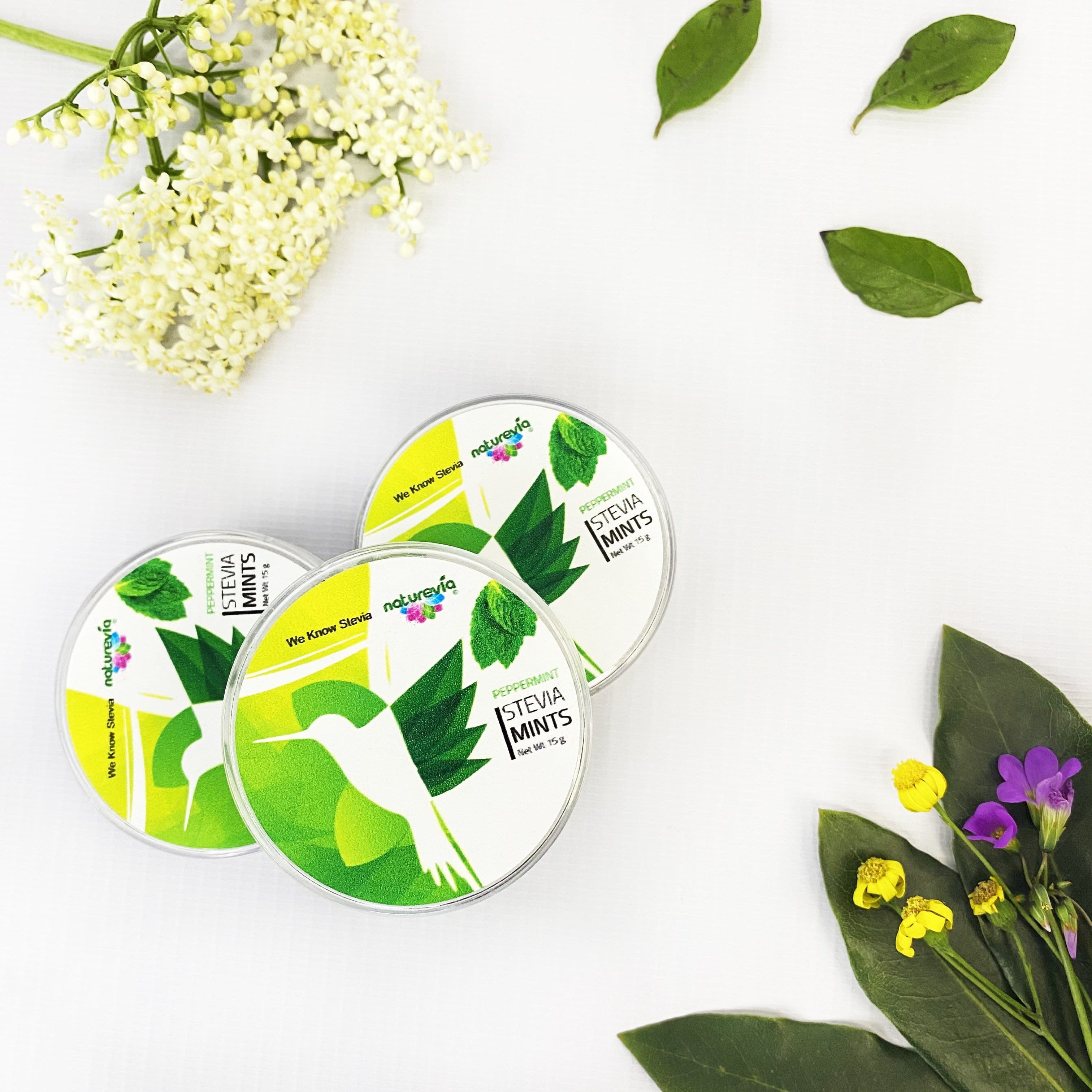 MENTAS STEVIAMINTS HIERBABUENA 15 G – sellycom
